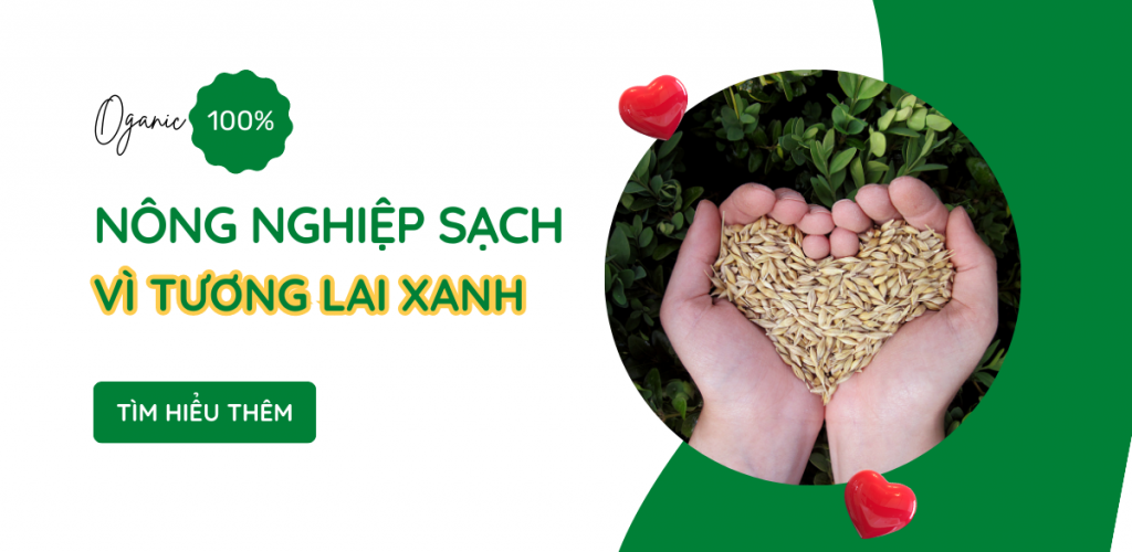 Trang chủ - Ã nh DÆ°Æ¡ng TÃ¢y NguyÃªn